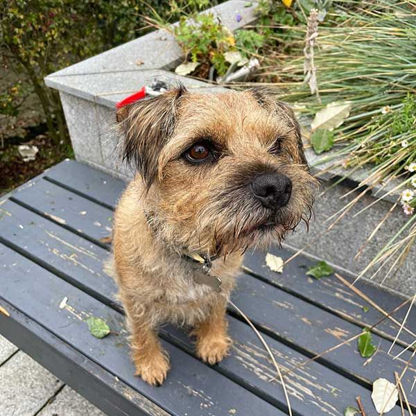 Garden Rescue: Is presenter Lee Burkhill married? Who is his husband ...