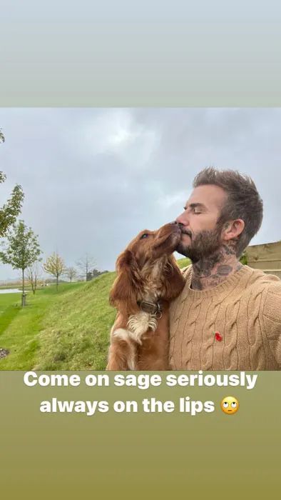 Victoria Beckham makes rare plea to fans about family member | HELLO!