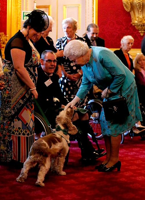 Queen Elizabeth II: 10 times monarch was overjoyed meeting public's ...