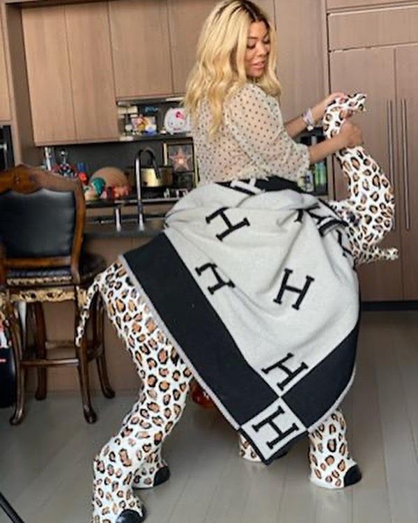 Wendy Williams' $15k-a-month home after split from husband is so boujee ...