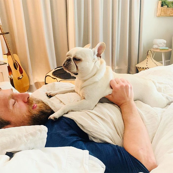 Inside Brie Bella and Daniel Bryan's beautiful home where they'll raise ...