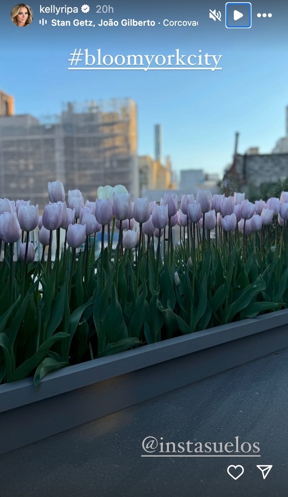 Kelly Ripa's new photos from her extravagant rooftop garden at $27M NYC ...