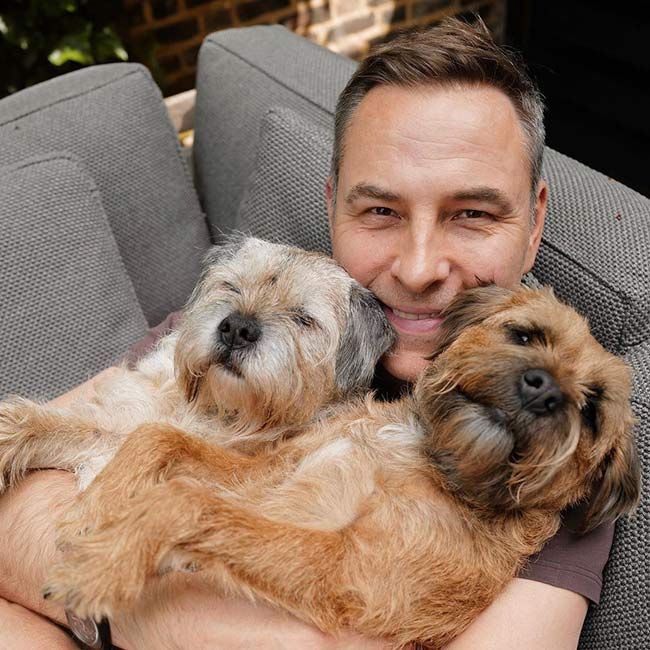David Walliams looks besotted in gorgeous new photo with his 'loves ...