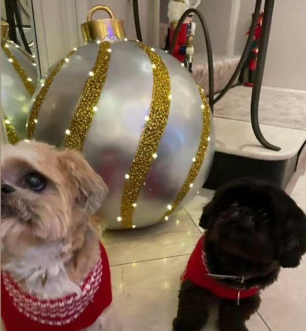 Kelly Ripa's $27million luxury townhouse gets an incredible makeover ...