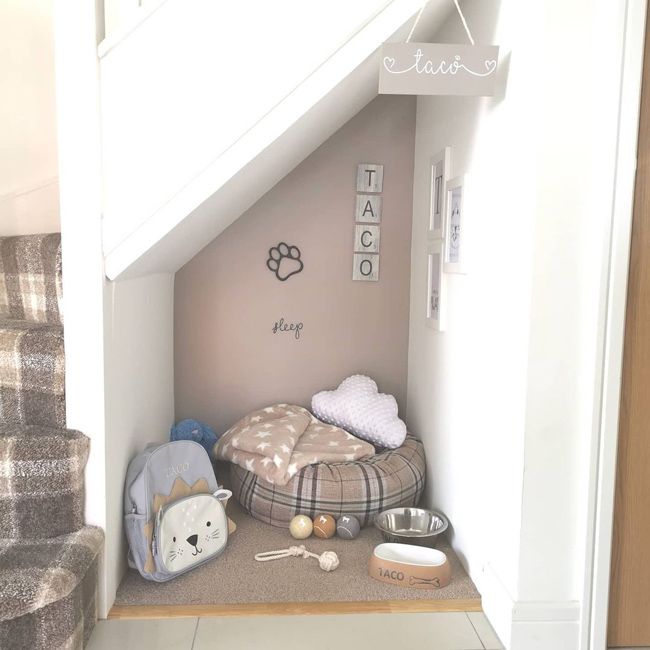 Best pet corners on Instagram pampered pooches will love | HELLO!