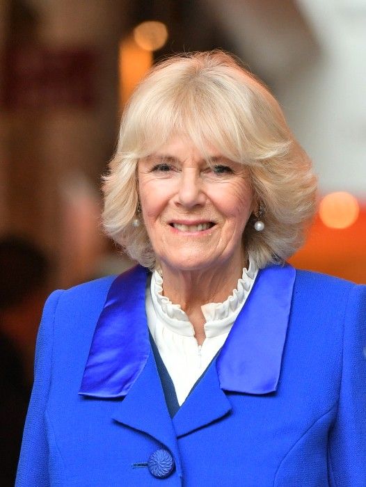 Camilla Parker-Bowles shows rare pictures of grandchildren in new video ...