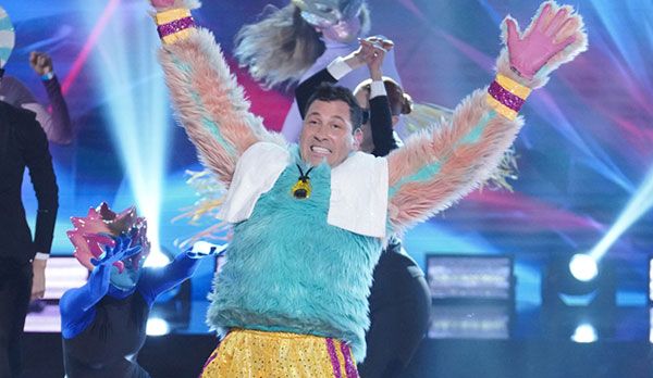 The Masked Dancer: All the season one reveals | HELLO!