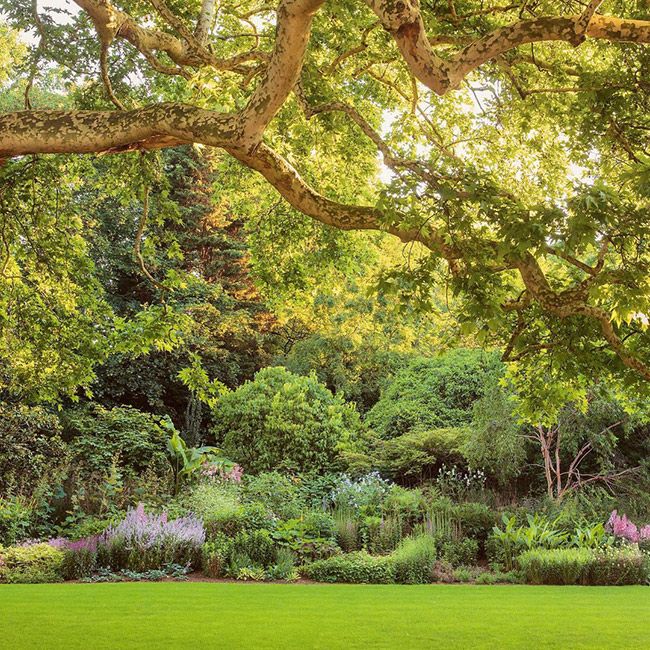 The Queen's garden is full of secret references – and you'll be stunned ...