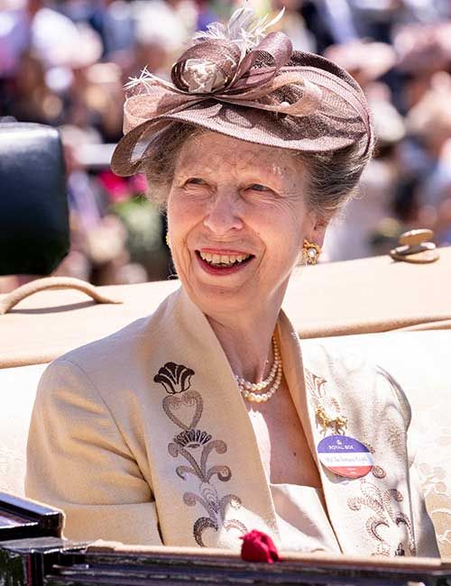 Princess Anne's £3K sentimental jewels are beyond beautiful - real ...