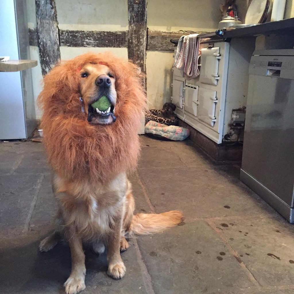 Monty Don's home disaster that meant he 'couldn't leave' | HELLO!