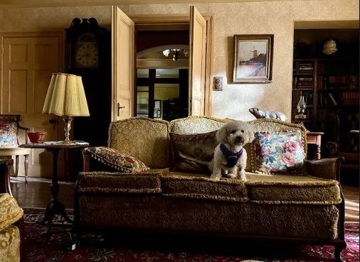 All Creatures Great and Small star teases return as he joins co-star ...