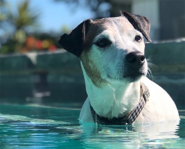 Rob Lowe shares heartbreaking family news - famous friends reach out ...