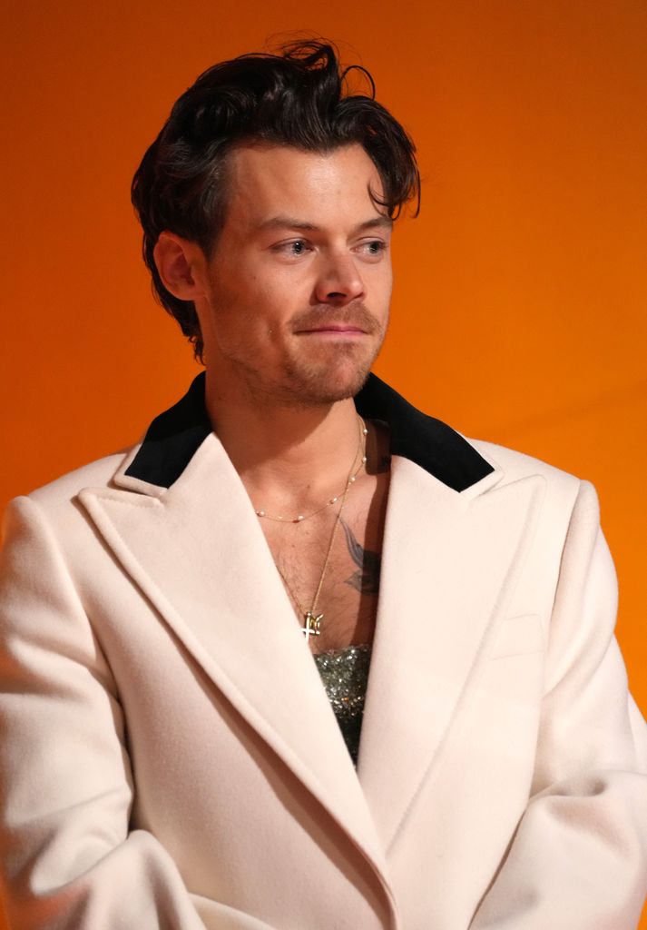 Harry Styles' personal trainer reveals 'commando'-style workout for ...