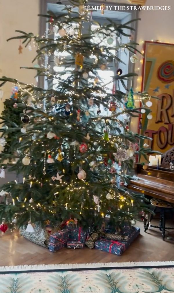 Dick and Angel Strawbridge unveil towering Christmas tree inside castle ...