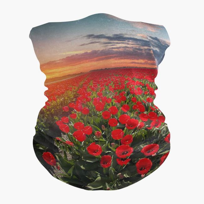 Poppy face masks to wear on Remembrance Sunday | HELLO!