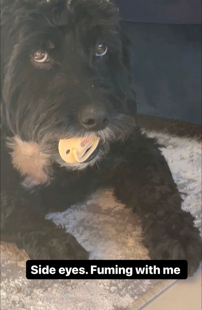 Strictly's Gemma Atkinson's son Thiago captured in adorable at-home ...