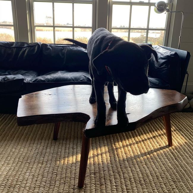 Julianne Moore's chic NY home has surprising Kardashian vibes - photos ...