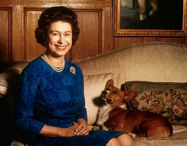 The Queen's unbridled excitement over pet Corgi Dash revealed in ...