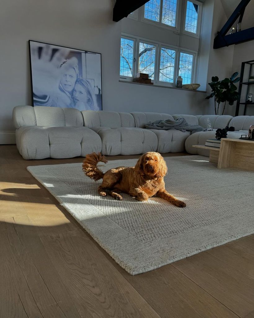 Rochelle Humes' fresh look at swanky living room with sky-high ceilings ...