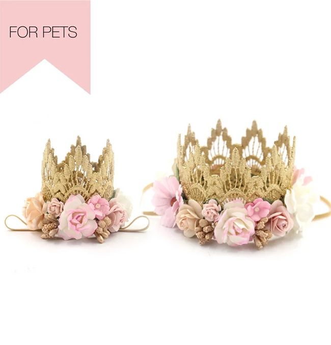 11 royal coronation costumes for dogs for a pawfect celebration | HELLO!