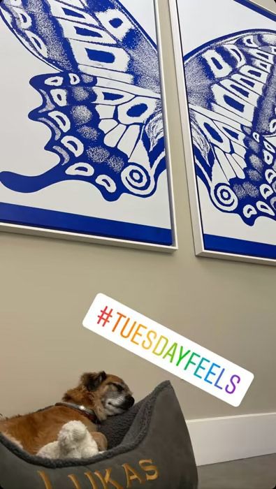 Inside Robin Roberts' zen $410k Connecticut home where where she ...