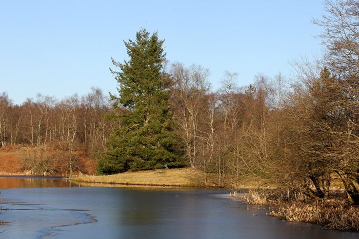 Andy Murray's £1.8million majestic hotel that hosted his family's ...