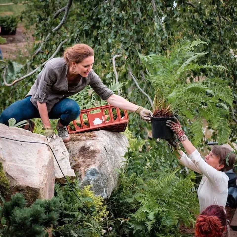 Princess Kate's trainer collection: From Superga to Veja, New Balance ...