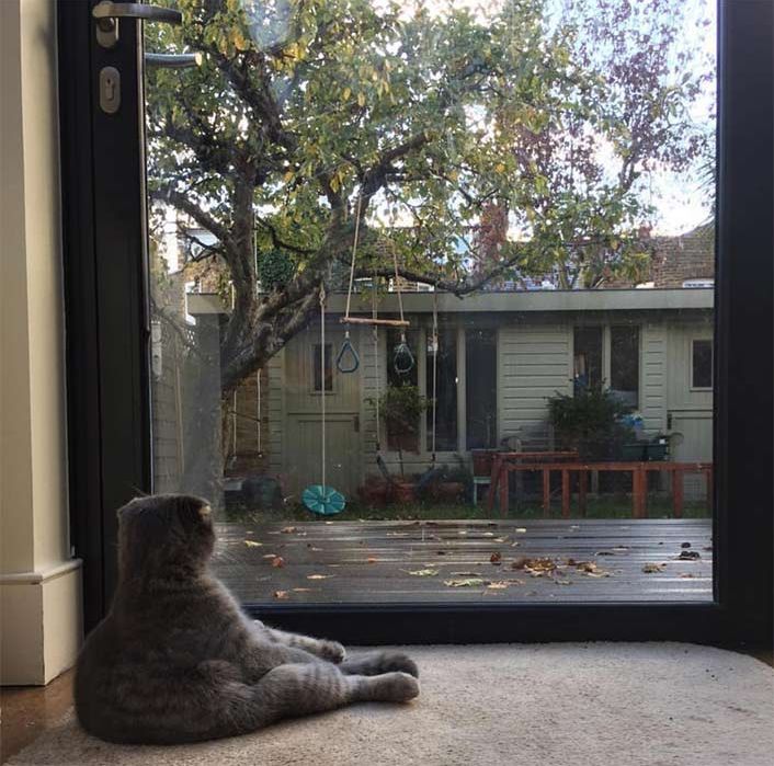 Caroline Flack is planning to rent out her £1.1m London home – take a ...