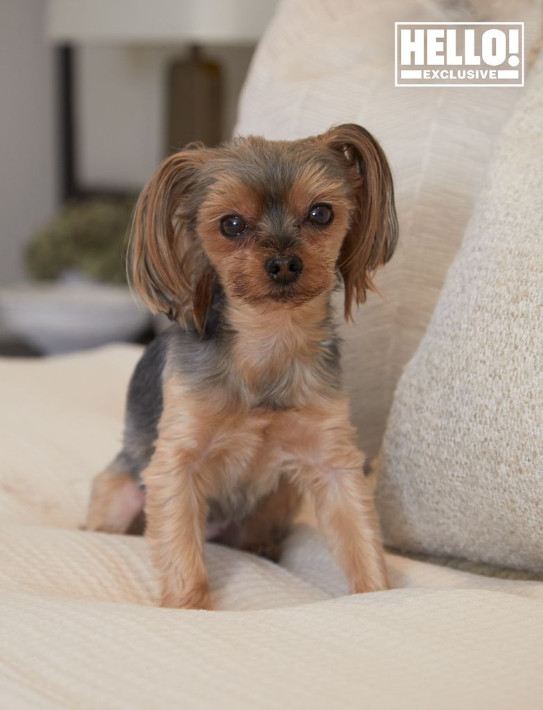 Jess Wright's immaculate Essex mansion near brother Mark - full post ...