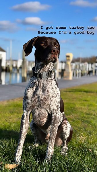 ABC's David Muir looks just like his rarely-seen sister in celebratory ...