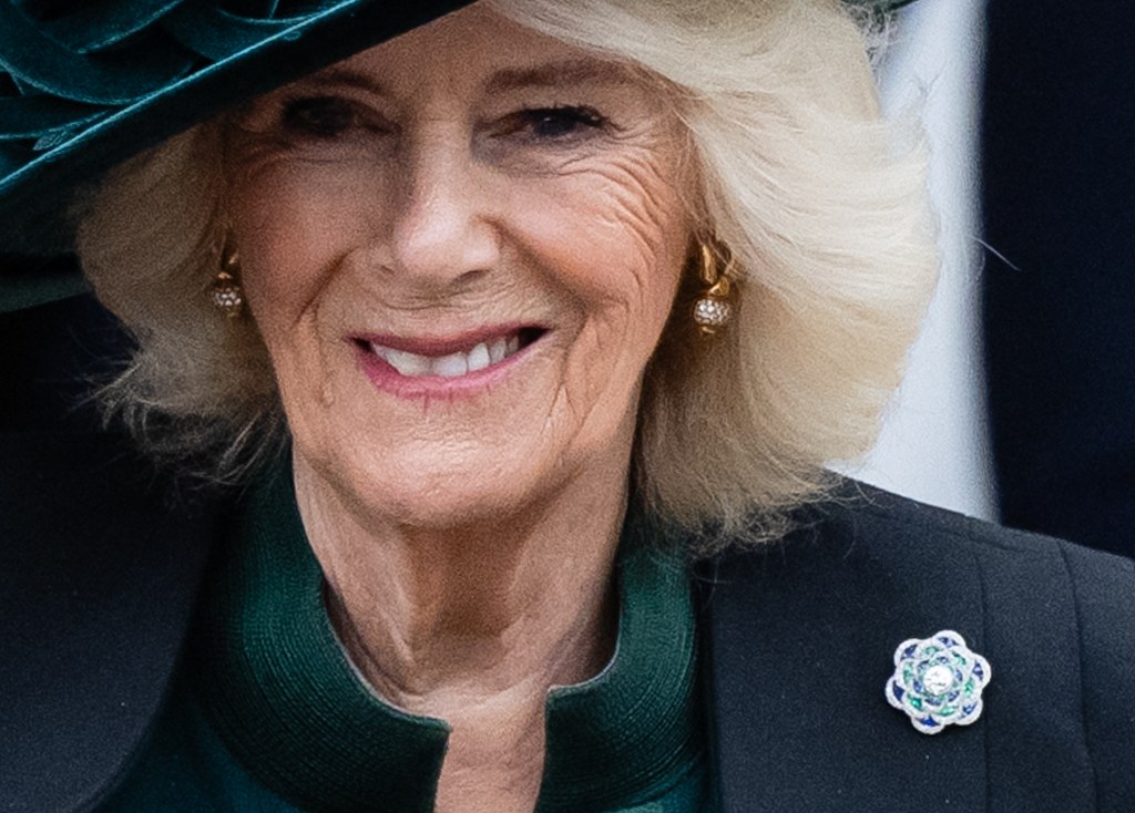 Queen Camilla is a regal vision in sheer leopard print | HELLO!