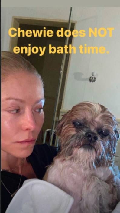 Kelly Ripa shares glimpse inside stunning porch at home in New York ...