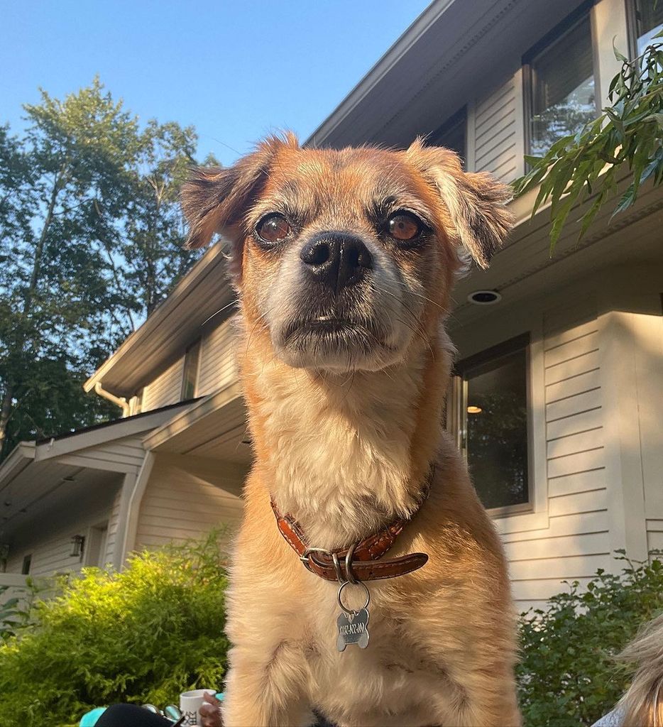 Robin Roberts details frightening run-in at Connecticut home as she ...