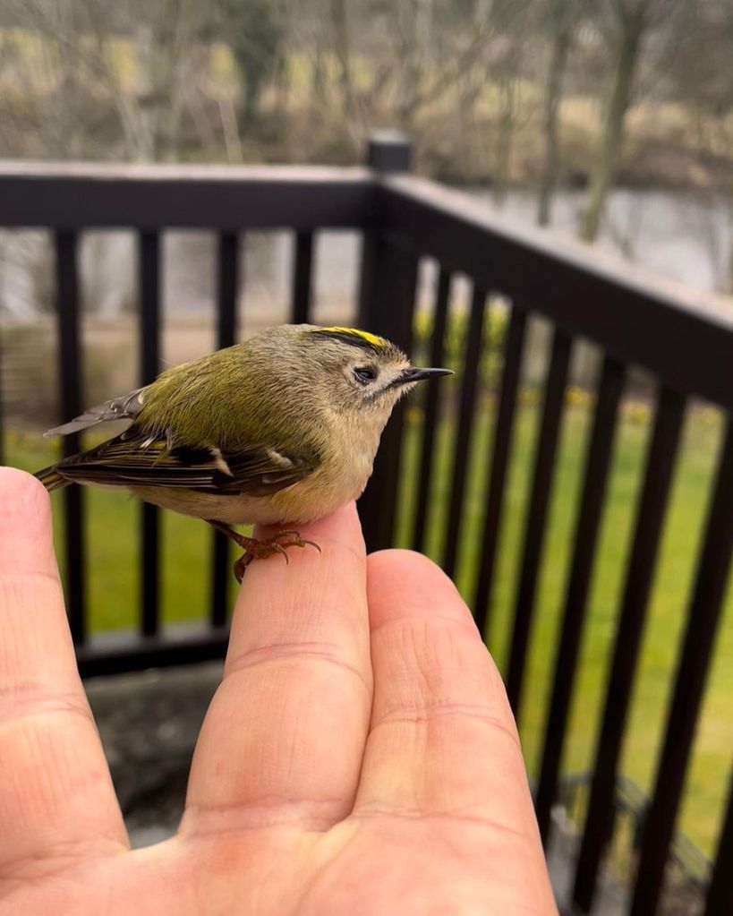 Inside Robson Green's unique riverside home with 'spectacular views ...