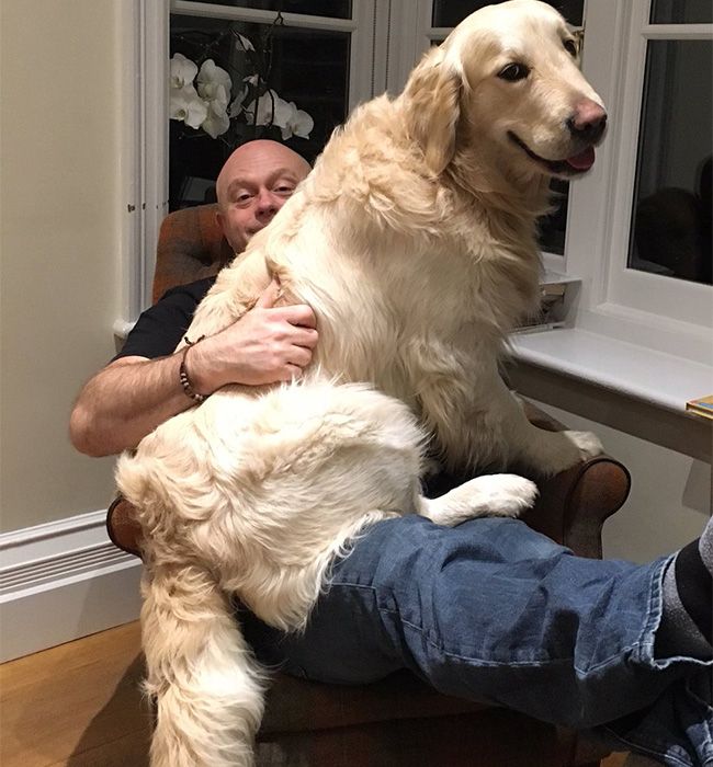 Ross Kemp's unexpected home he chose especially for his children | HELLO!