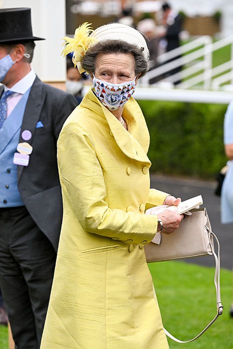 Princess Anne's quirky new accessory has a special meaning – details ...