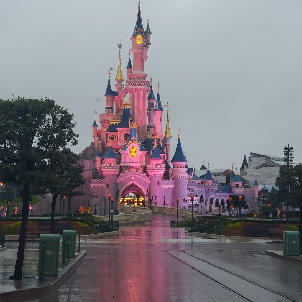 I took my brave daughter, 5, to Disneyland after her cancer diagnosis ...