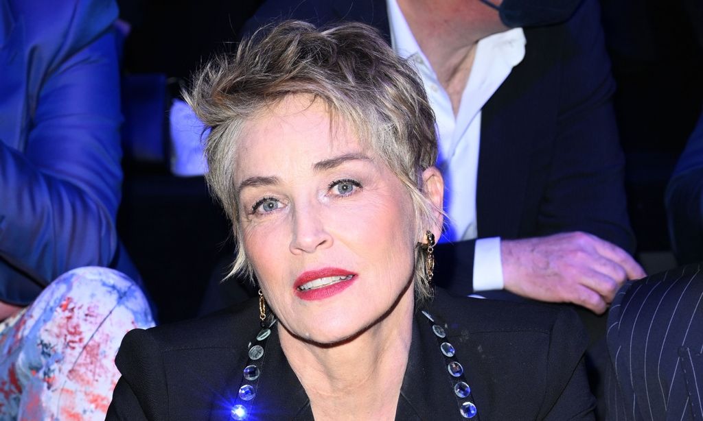 Sharon Stone details how Hollywood career ended over devastating health ...