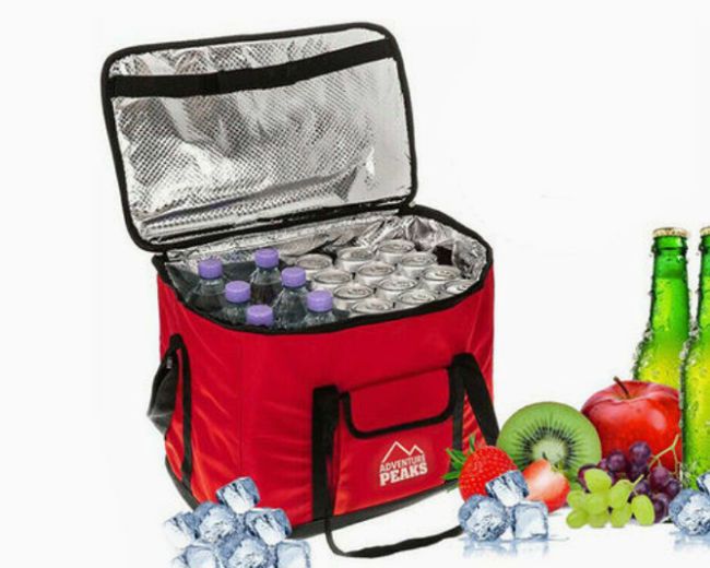 17 best cool bags for a picnic or the beach 2022: From Lakeland to John ...