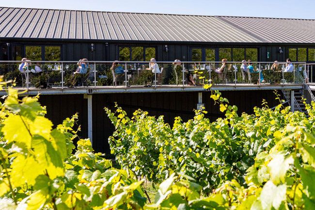 16 best UK vineyards: The perfect staycation idea for wine lovers | HELLO!