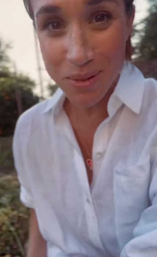 Meghan Markle debuts new $3,200 Valentine's gift with a very special ...