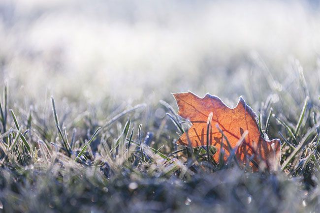 November weather: Will there be snow this winter? | HELLO!