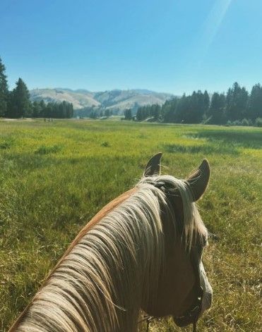 Yellowstone's Kelly Reilly's house 3,400miles from home | HELLO!