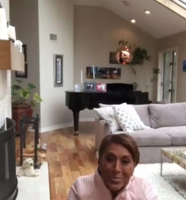 Inside Robin Roberts' zen $410k Connecticut home where where she ...
