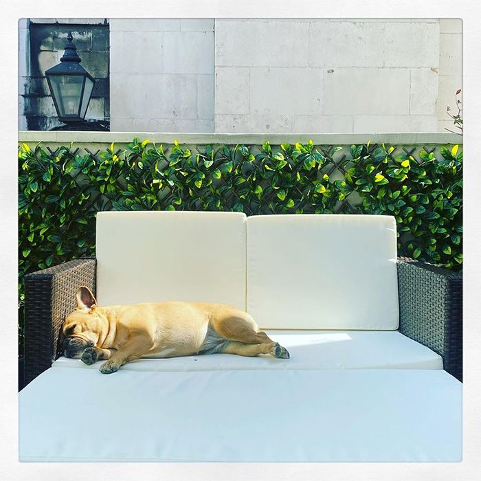 Gok Wan's extraordinary London home is like nothing you've ever seen ...