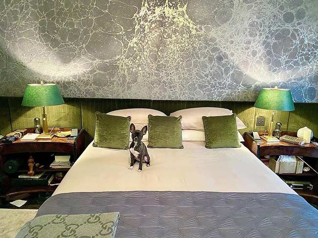 Neil Patrick Harris and David Burtka's $5.5million estate is another ...