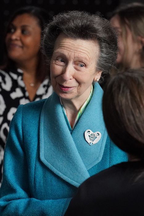 Princess Anne returns to hospital for poignant reason | HELLO!
