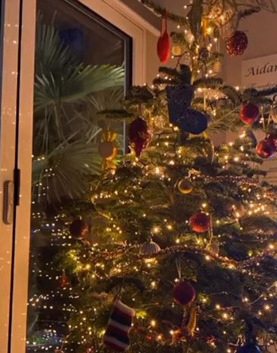 Alison Hammond's Christmas tree is GENIUS | HELLO!