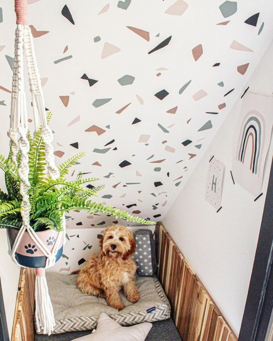 Best pet corners on Instagram pampered pooches will love | HELLO!
