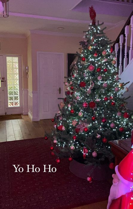 Gregg Wallace's 'crazy' house with NINE Christmas trees – take a tour ...